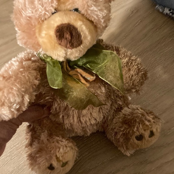 Caltoy | Toys | Caltoy Plush Classic Teddy Bear Collection A | Poshmark